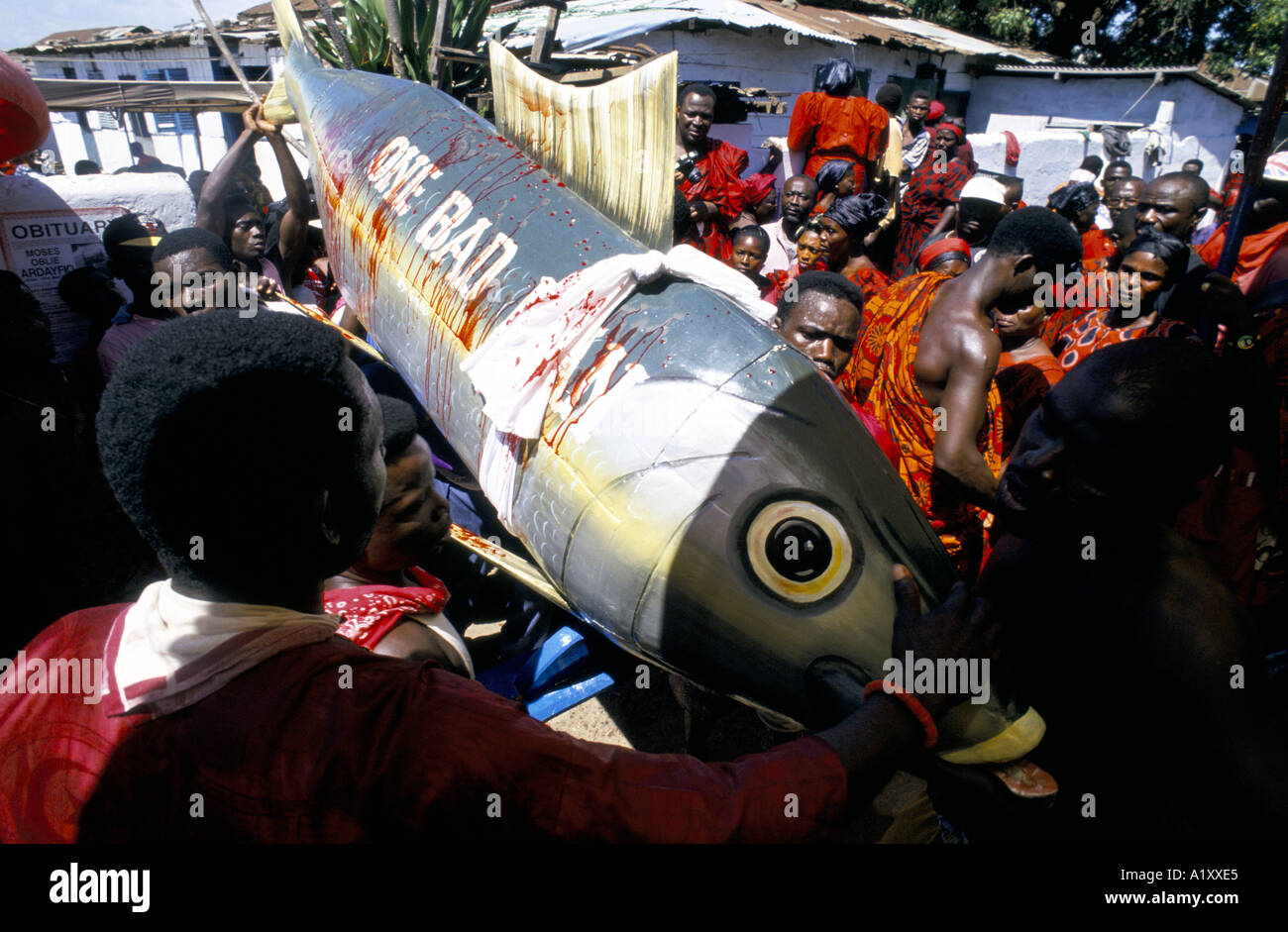 Coffin shaped fish hi-res stock photography and images - Alamy