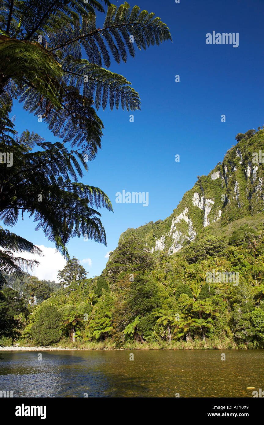 Pororari River Paparoa National Park West Coast South Island New ...