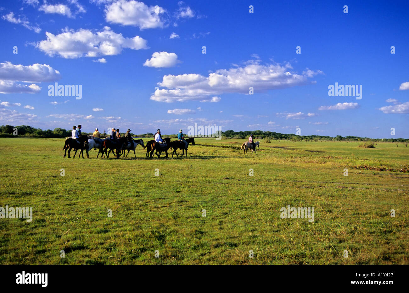 Horse riding, Los Llanos, Venezuela Stock Photo - Alamy