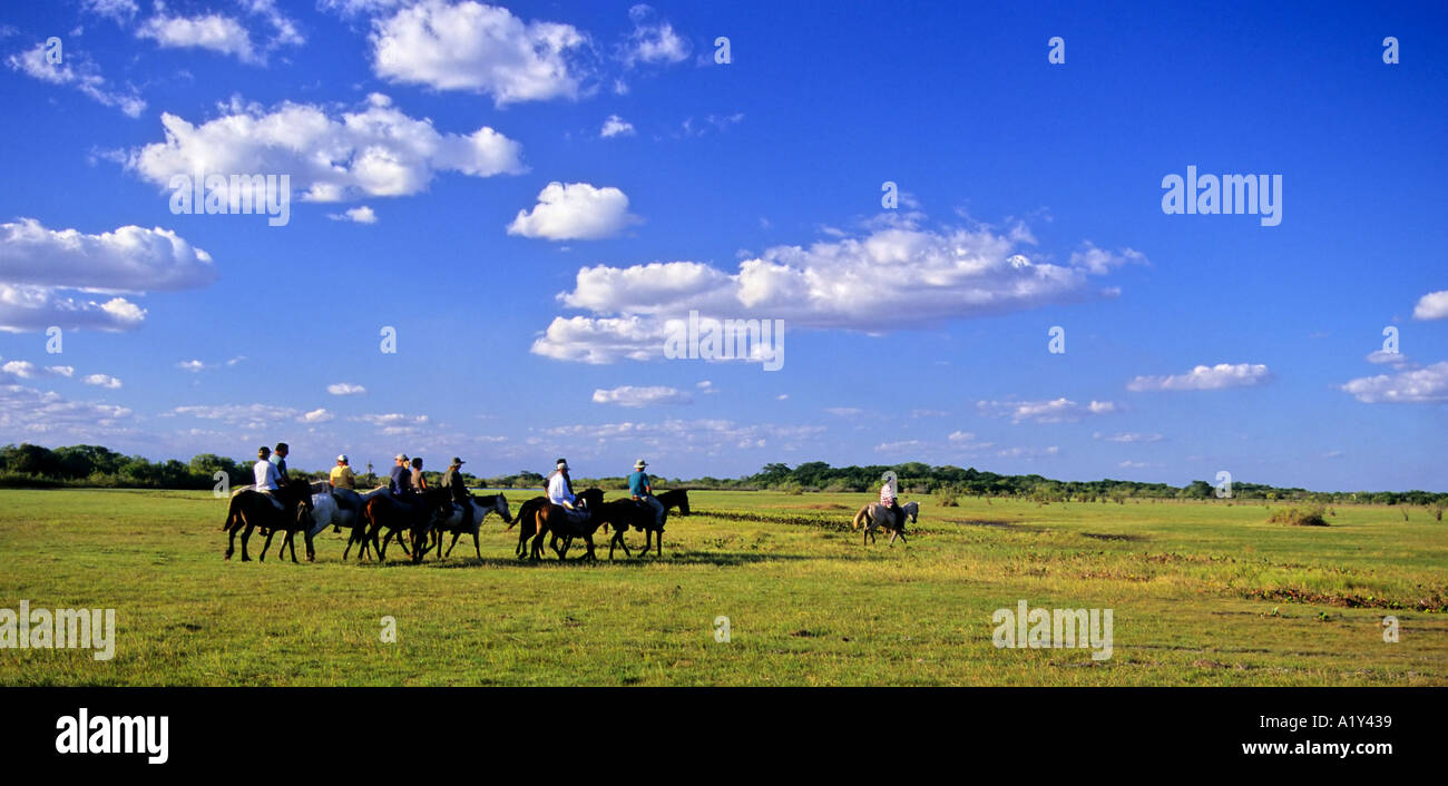 Horse riding, Los Llanos, Venezuela Stock Photo - Alamy
