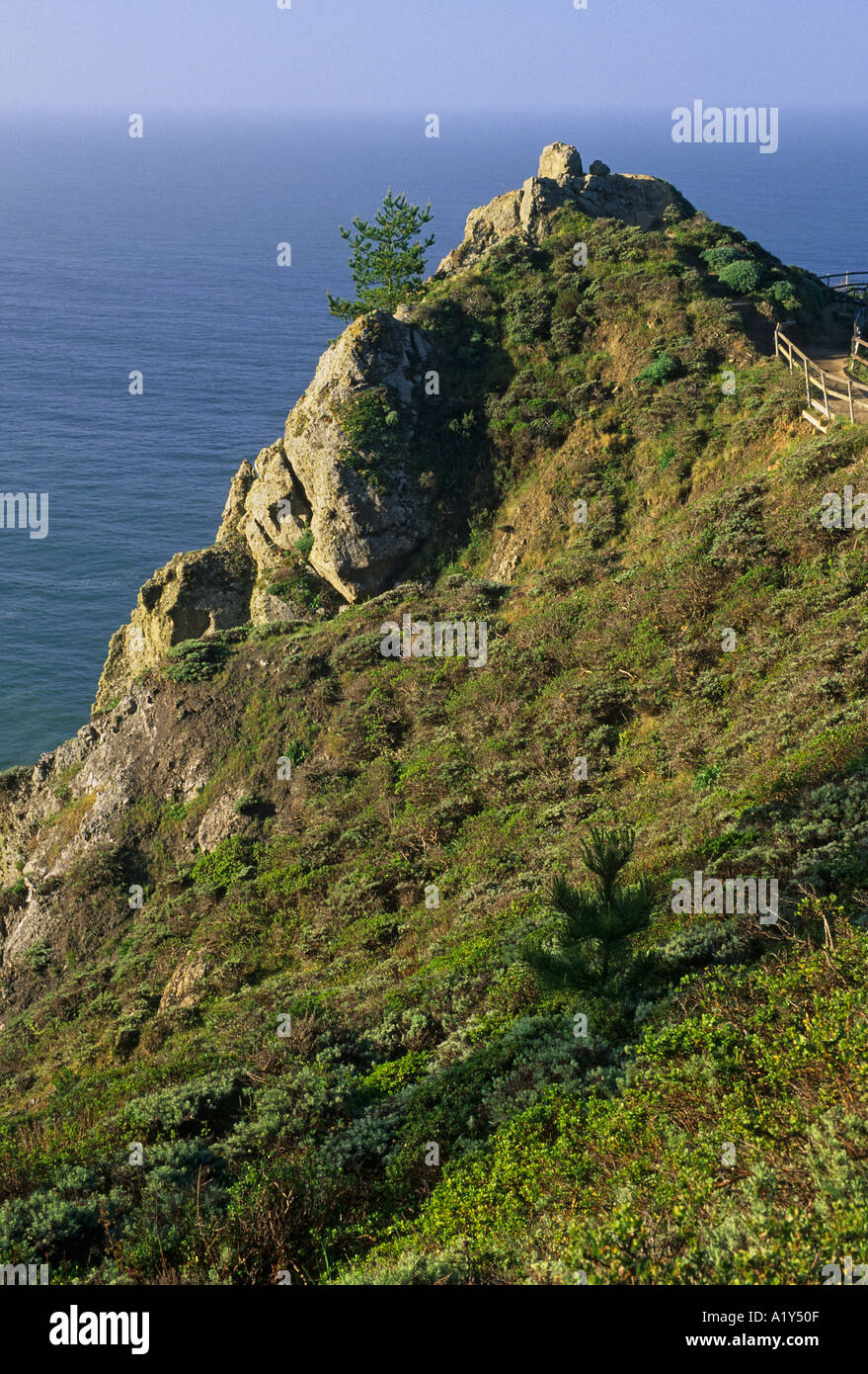 Muir beach overlook hi-res stock photography and images - Alamy