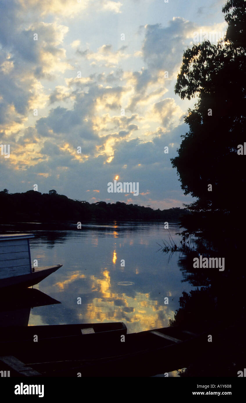 Amazonas brasil vertical hi-res stock photography and images - Alamy