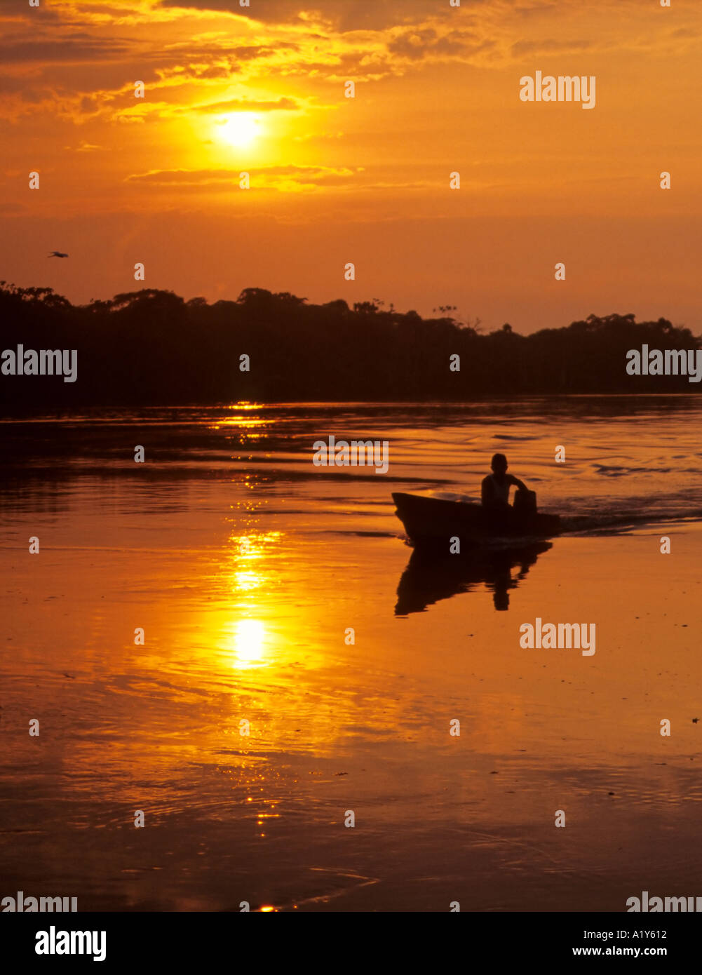 Mamori river hi-res stock photography and images - Alamy