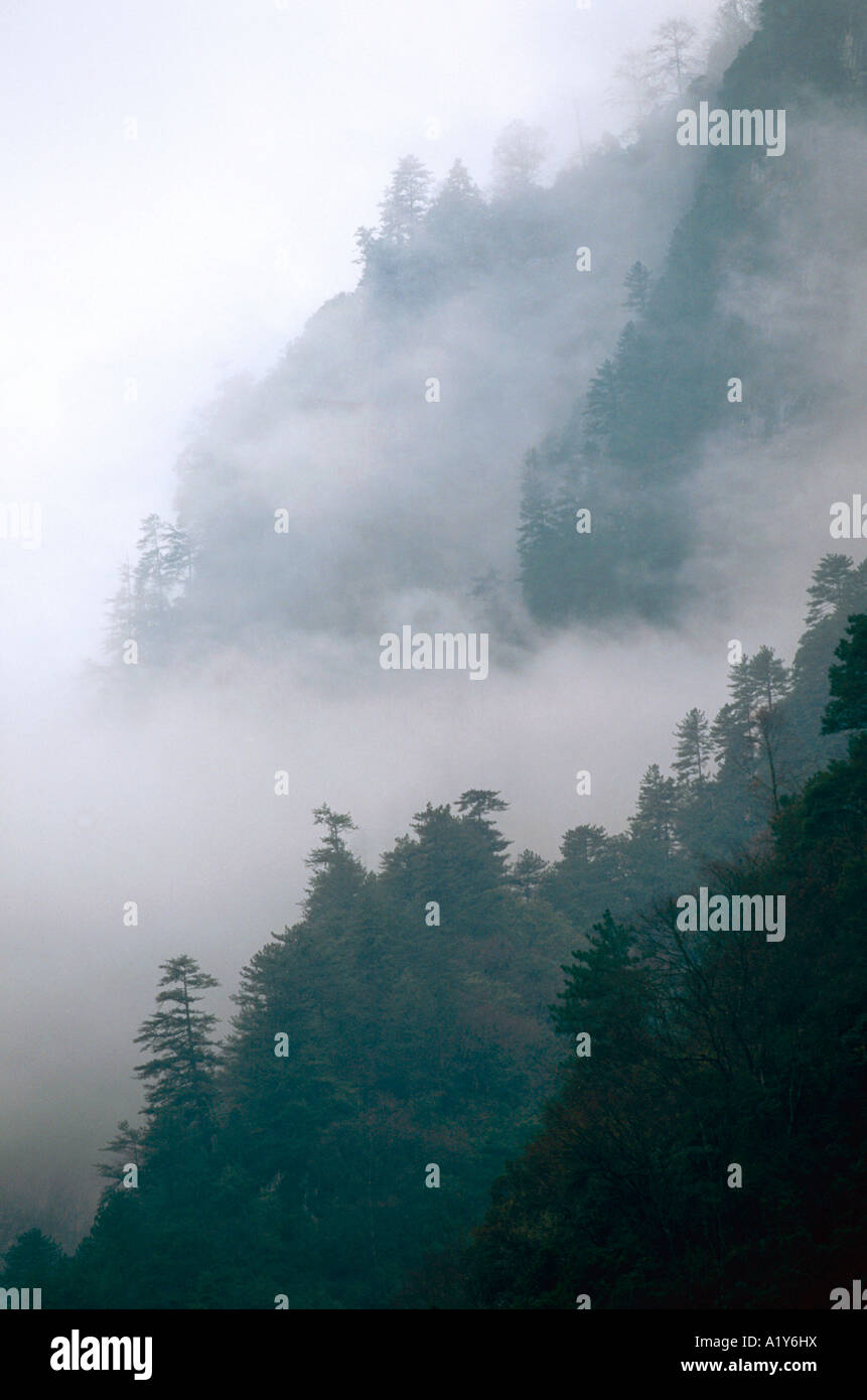 Wolong valley hi-res stock photography and images - Alamy