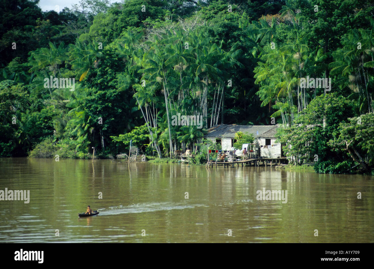 Amazonian Indian settlement, river Amazon, Brazil Stock Photo - Alamy