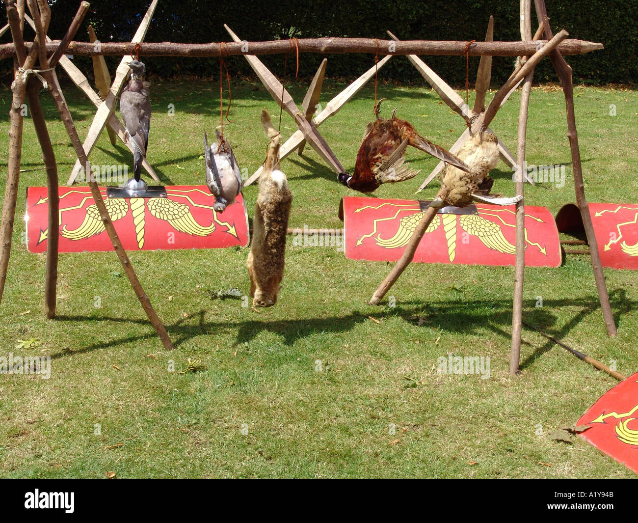 Game drying in the sun UK 2004 Stock Photo - Alamy