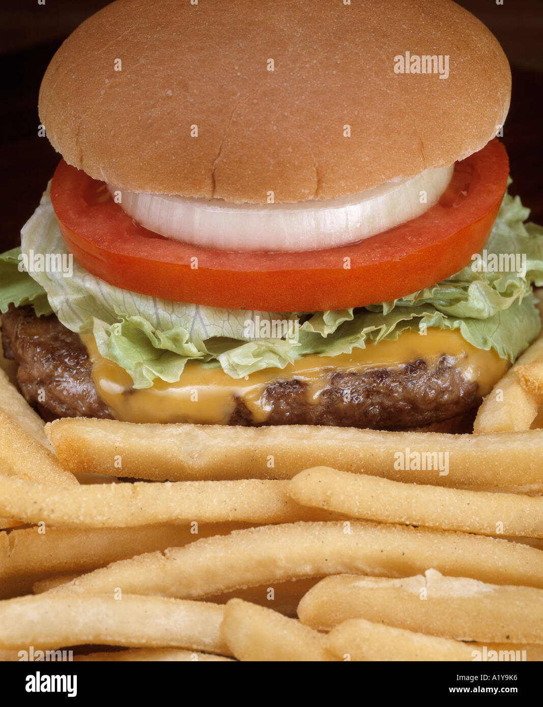close up burger hamburger cheese cheeseburger lettuce tomato tomatoe ...