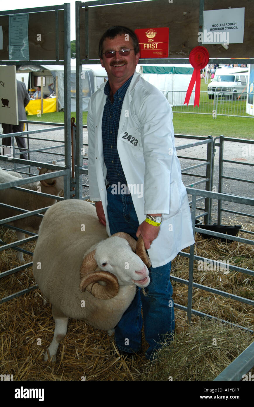 Proudly showing off the Champion White Faced Woodland Ram Great ...