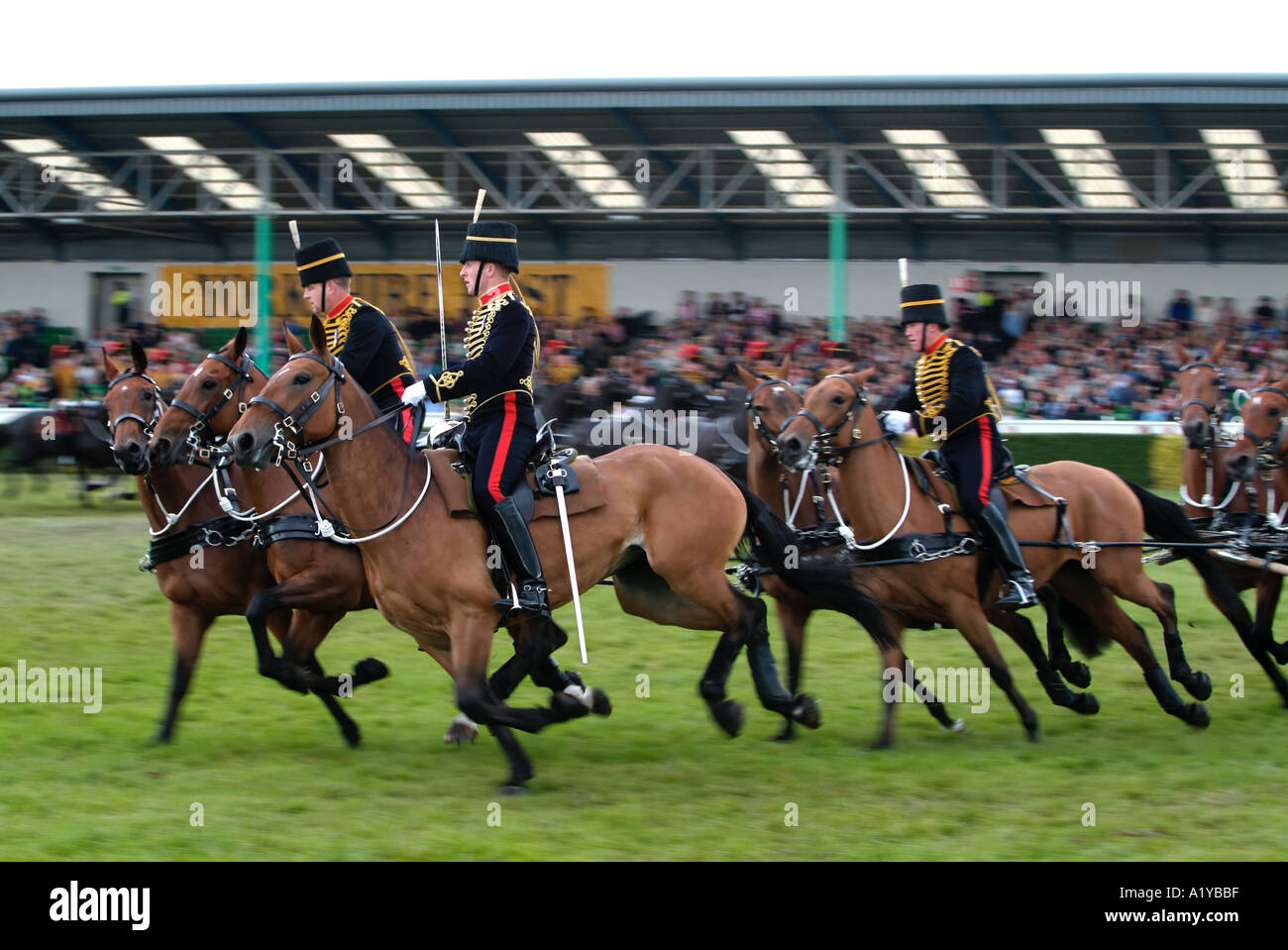 Kings Troop Royal Horse Artillery display Great Yorkshire Show ...
