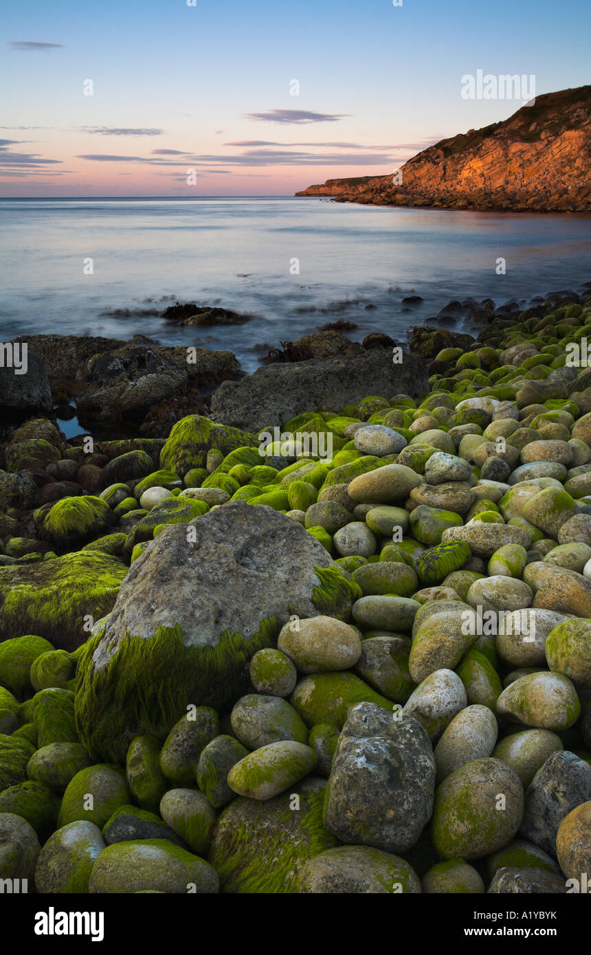 Algae covered rocks at Church Ope Cove on the Isle of Portland, Dorset ...