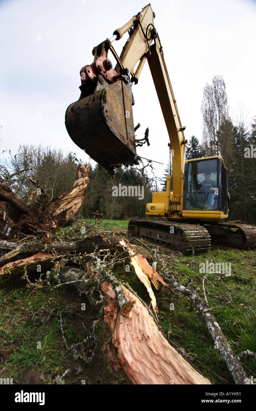 Backhoe clears trees for new homsite Stock Photo - Alamy