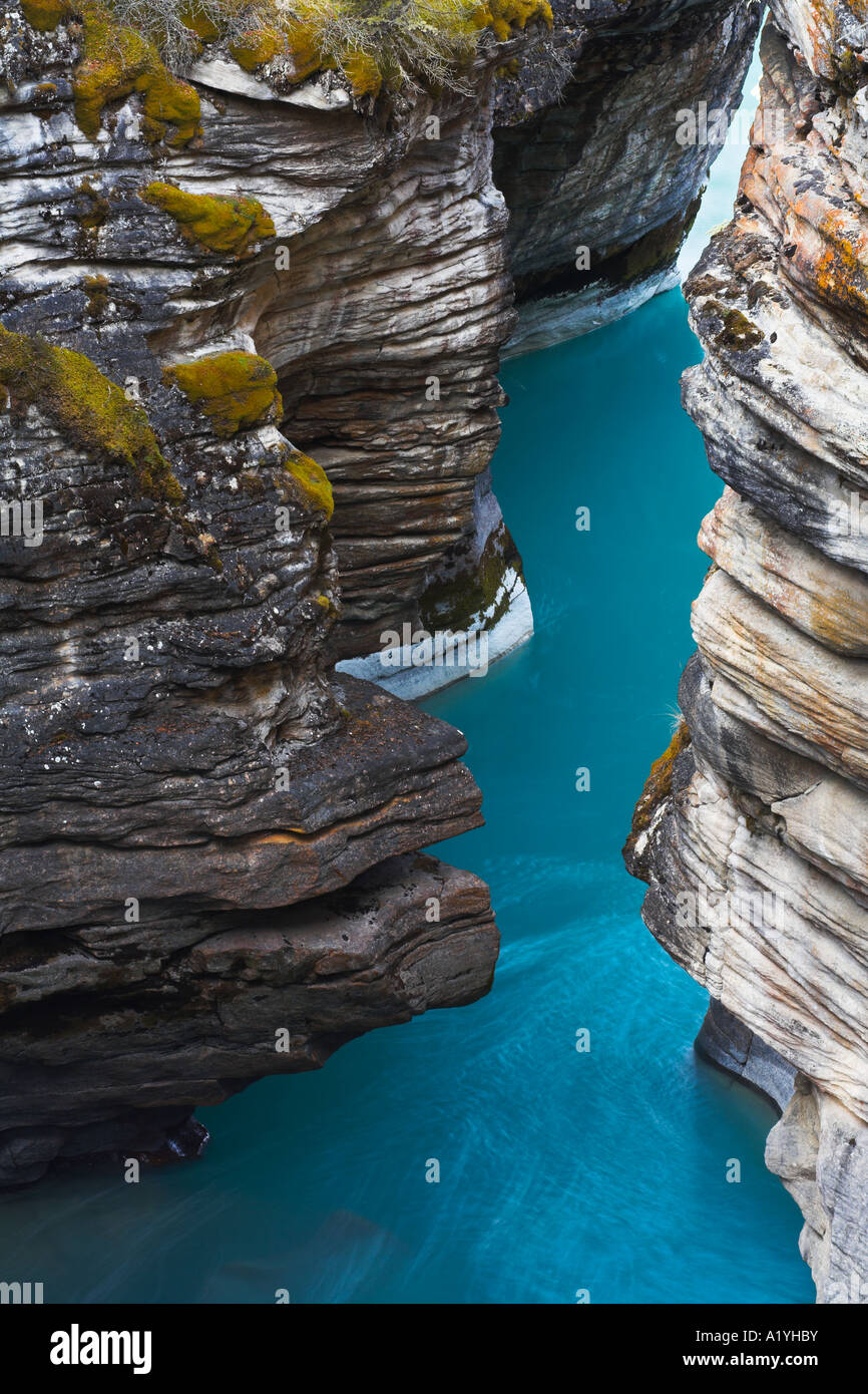 A narrow gorge at Athabasca Canyon, Jasper National Park, Canada Stock ...