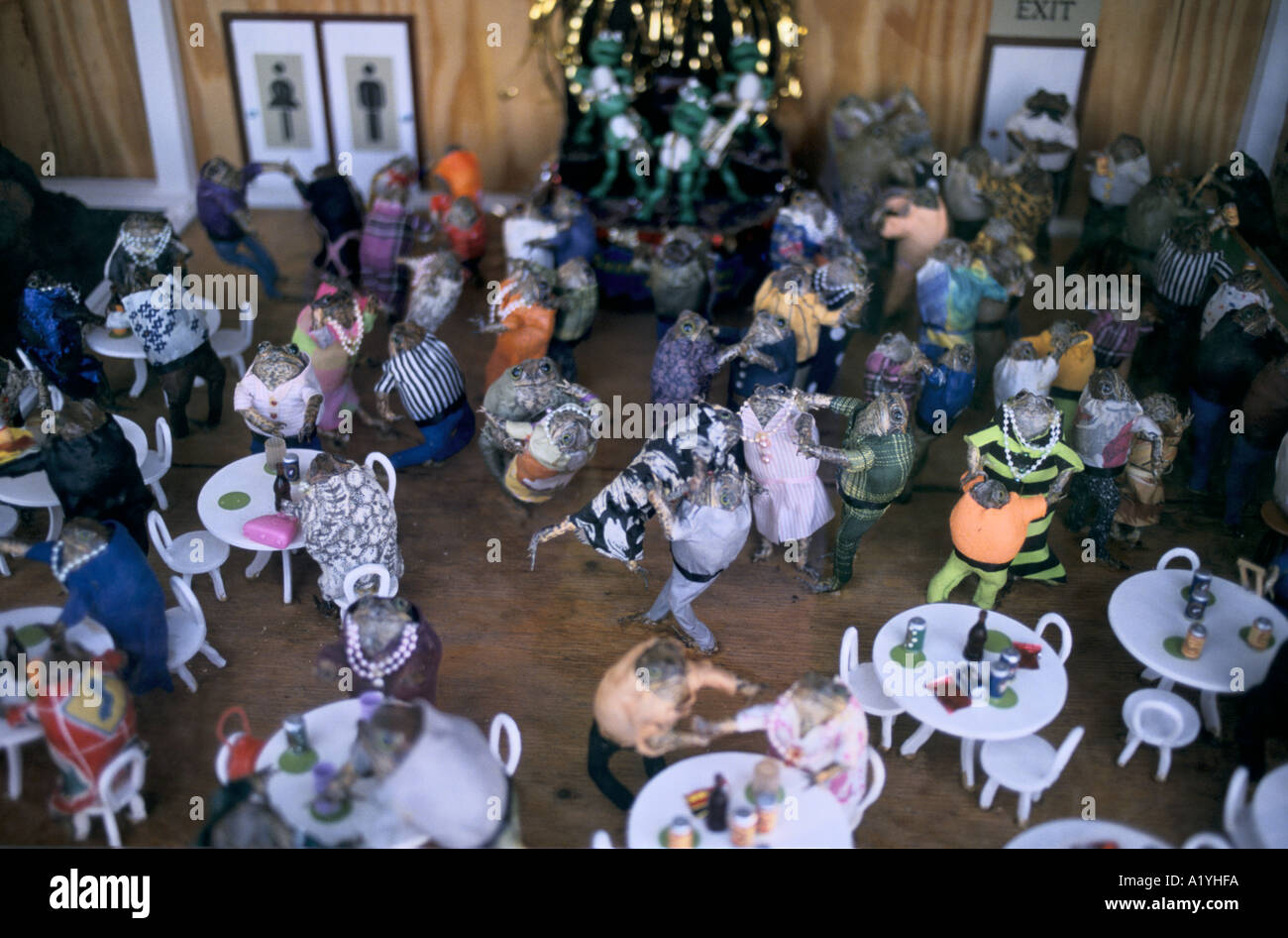 Cane Toads Stock Photos & Cane Toads Stock Images - Alamy