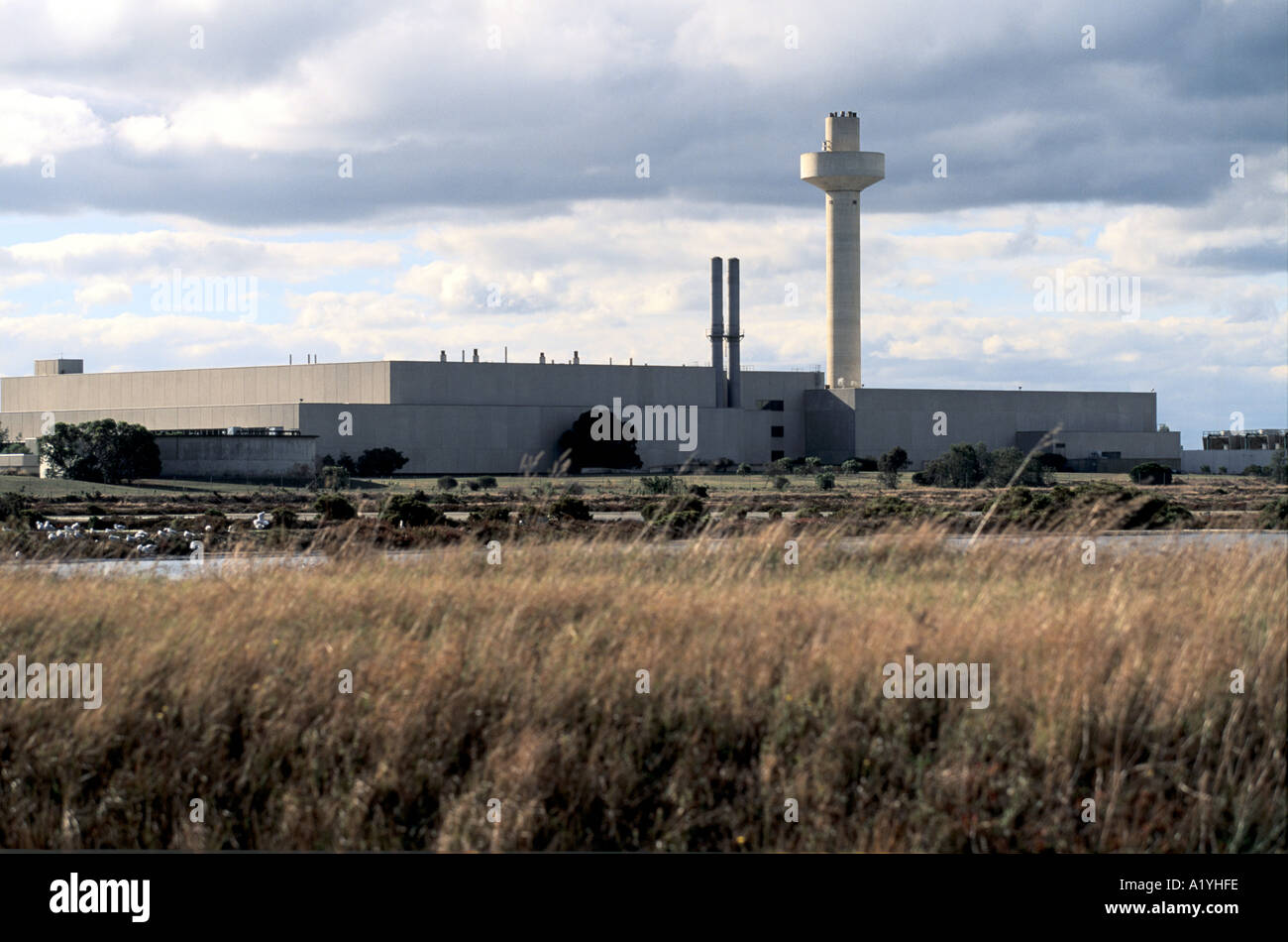 CANE TOADS OF AUSTRALIA 3 96 OUTSIDE THE CSIRO VIRAL LABORATORY IN ...