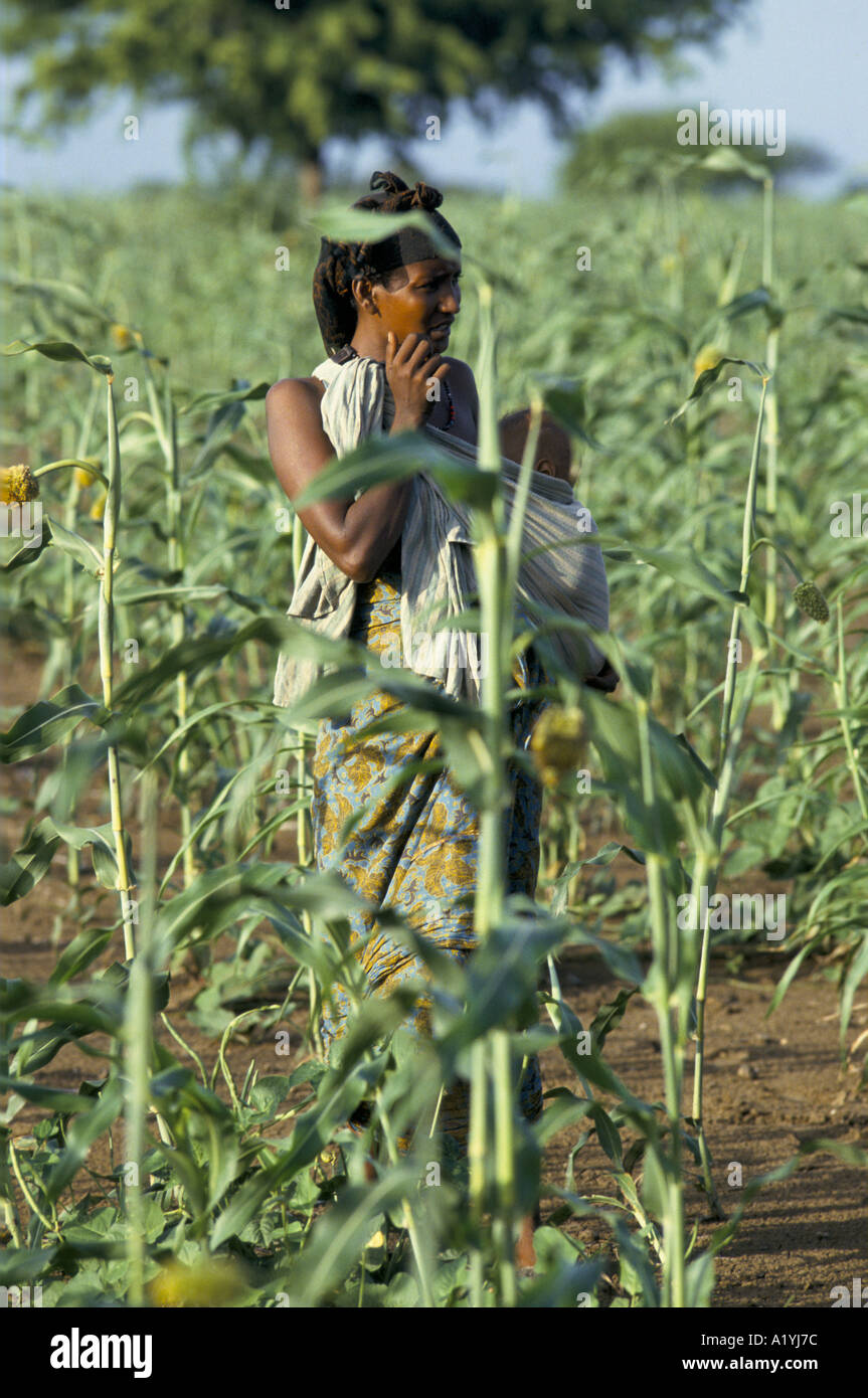 Famine agriculture africa hi-res stock photography and images - Alamy
