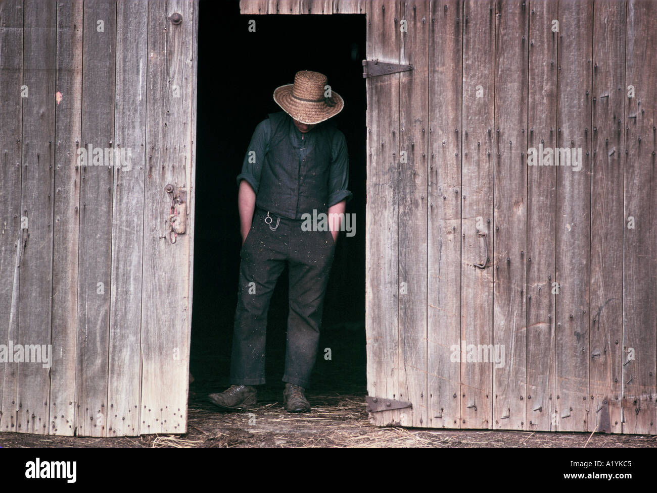 THE AMISH UPPER STATE NEW YORK Stock Photo - Alamy