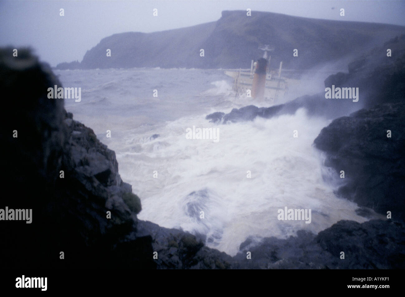 Braer hi-res stock photography and images - Alamy