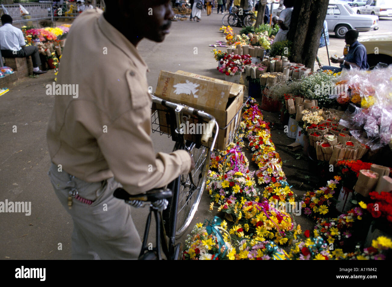 Bulawayo city hi-res stock photography and images - Alamy