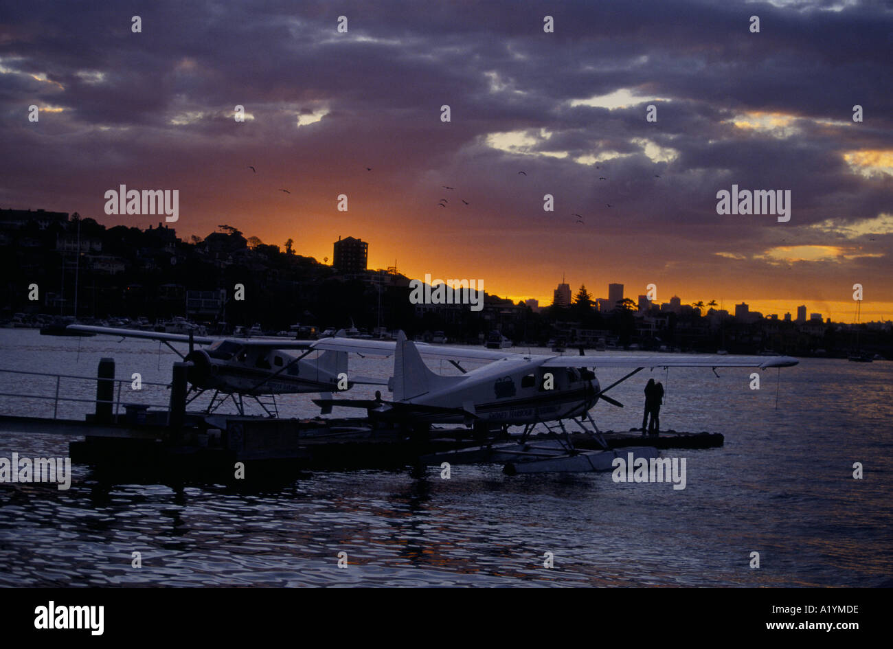 Sydney sea planes hi-res stock photography and images - Alamy