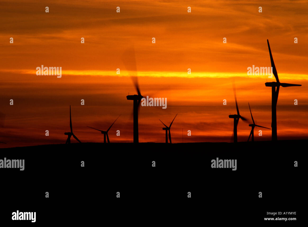 Cefn Croes windfarm at sunset. A controversial windfarm in Powys, mid ...