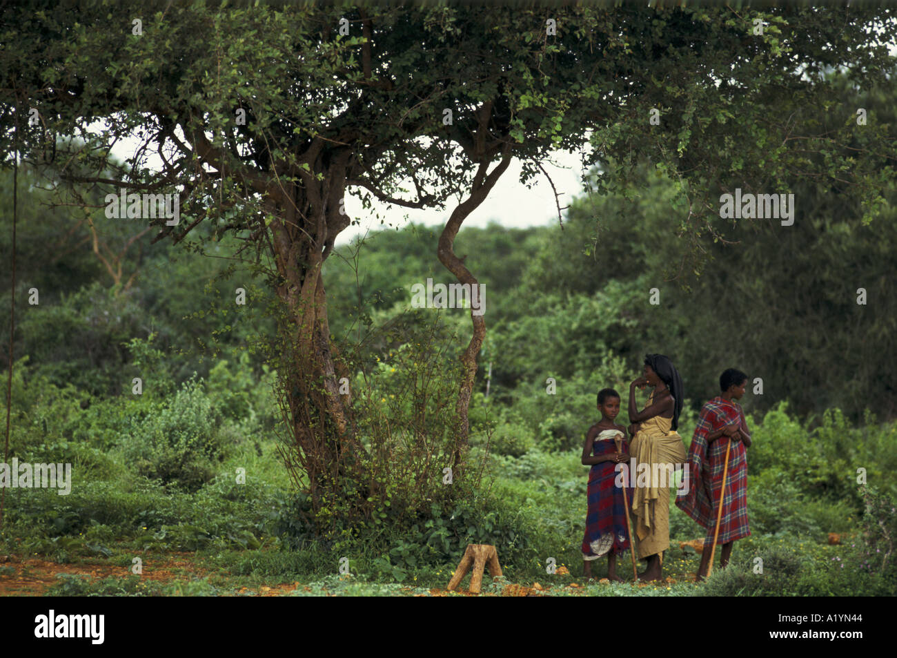 Somalian woman and children hi-res stock photography and images - Alamy