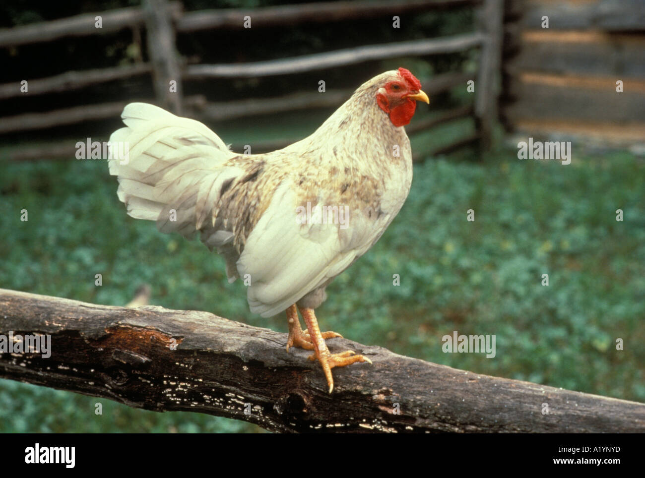 Landis Valley farm museum Lancaster PA Pennsylvania history historical ...