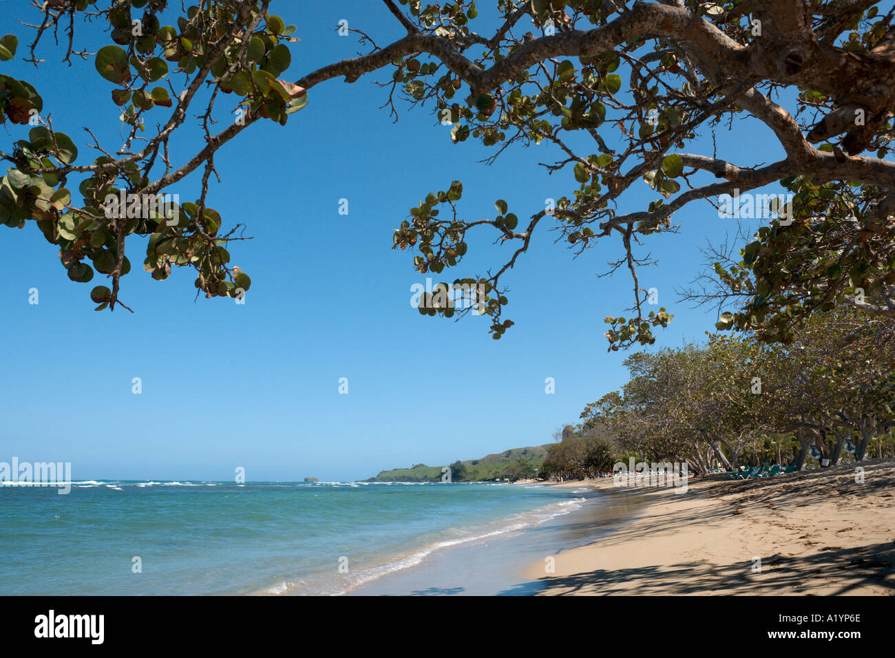 Beach outside Riu hotels, Bahia Maimon, Puerto Plata, North Coast ...