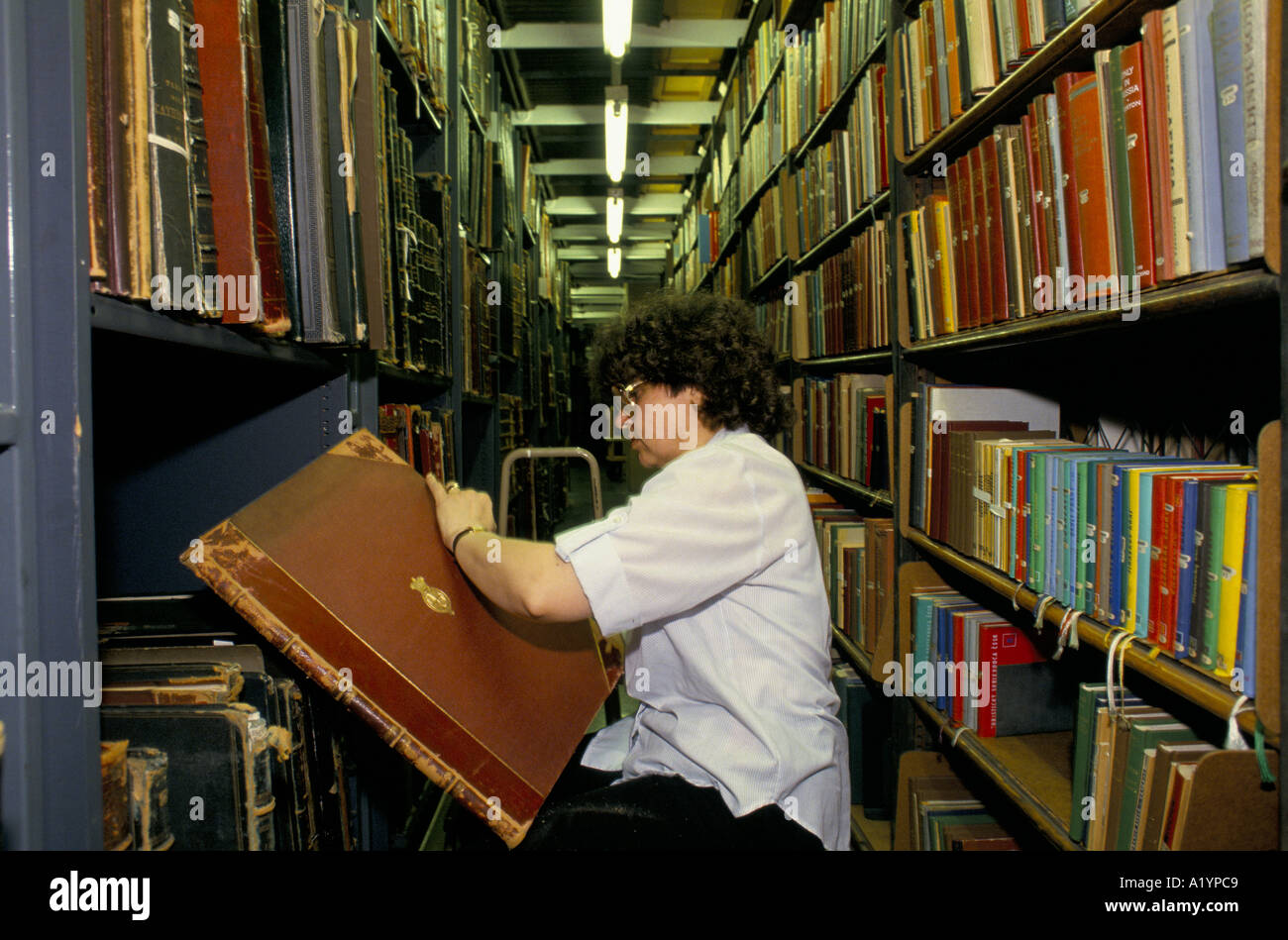 Reading room british library hi-res stock photography and images - Alamy