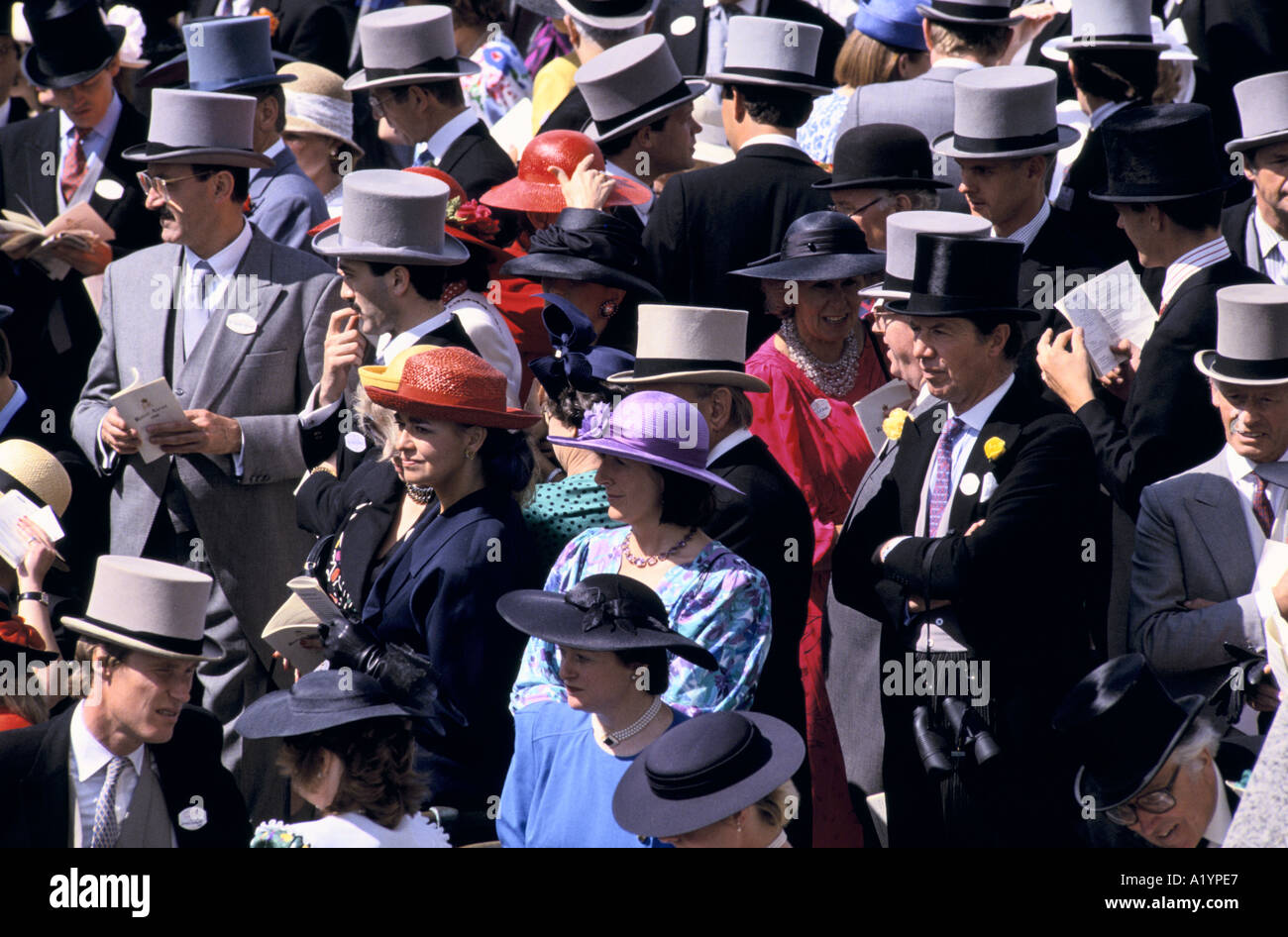 ROYAL ENCLOSURE ASCOT Stock Photo - Alamy