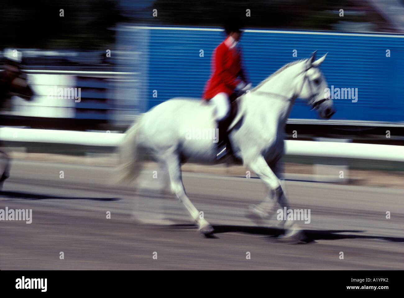 harness racer racing trot trotter trotting county fair sport ...