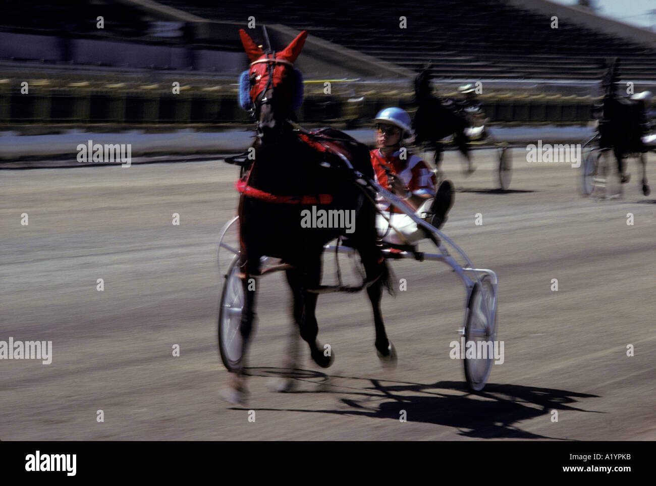 harness racer racing trot trotter trotting county fair sport ...