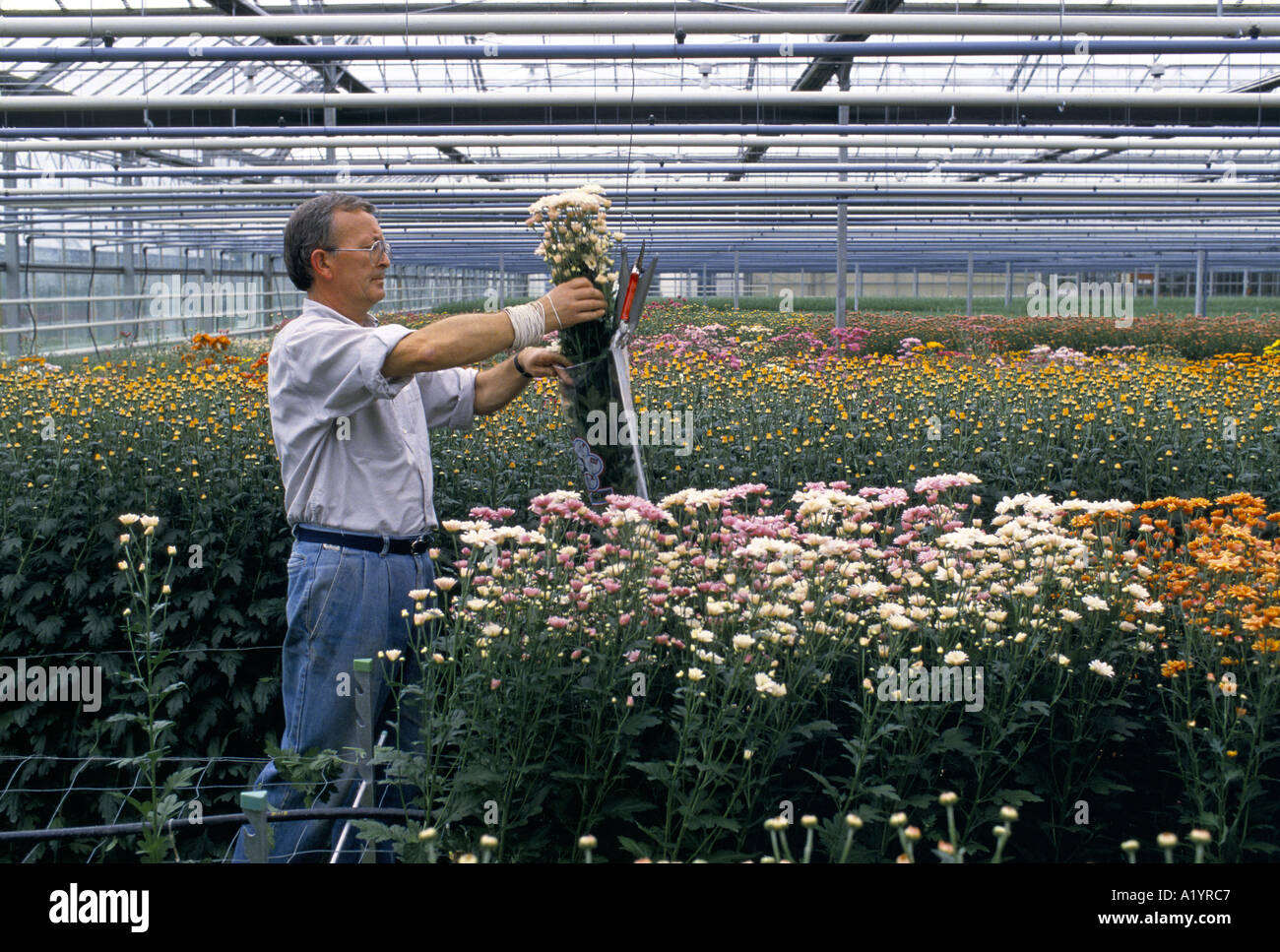Man in auction house hi-res stock photography and images - Alamy