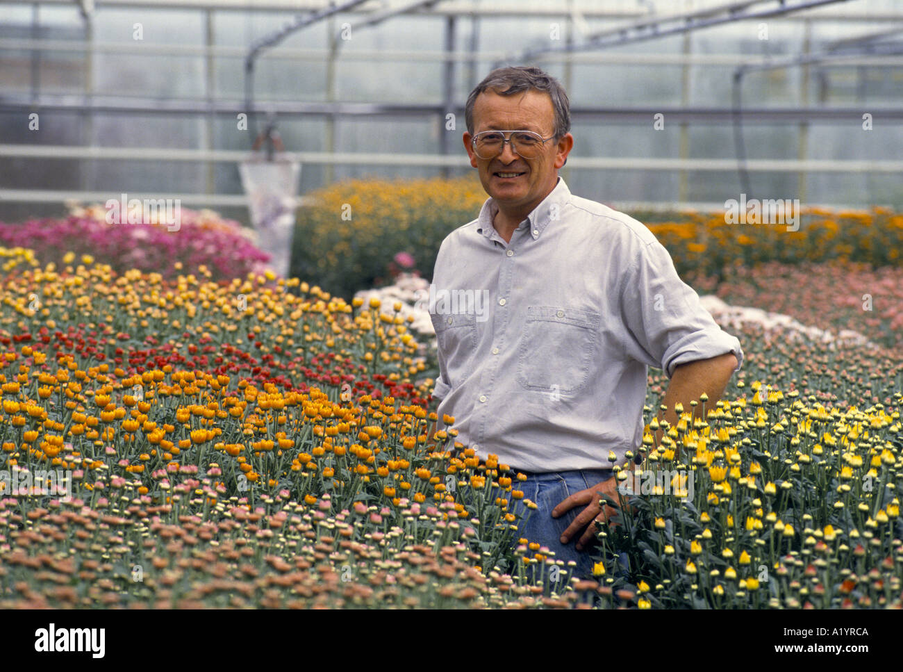 Man in auction house hi-res stock photography and images - Alamy