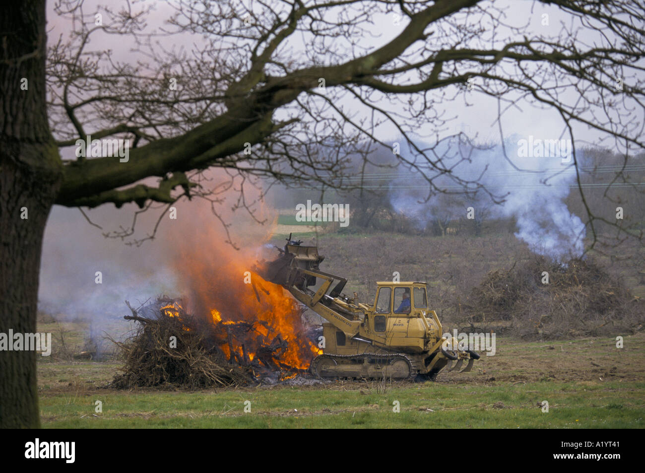 BURNING APPLE TREES IN ORCHARD KENT 4 1995 Stock Photo - Alamy