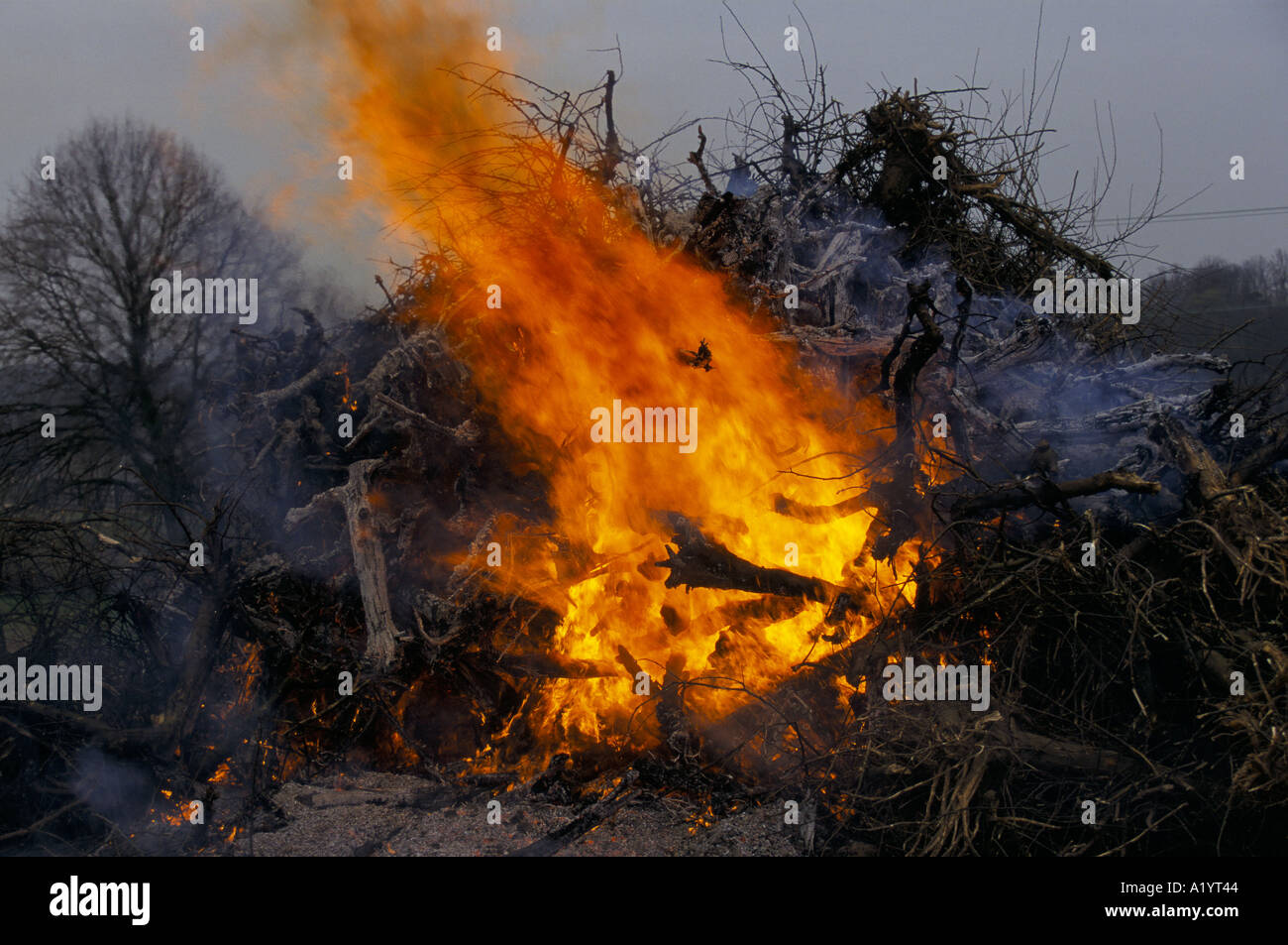 BURNING APPLE TREES KENT 4 1995 Stock Photo - Alamy