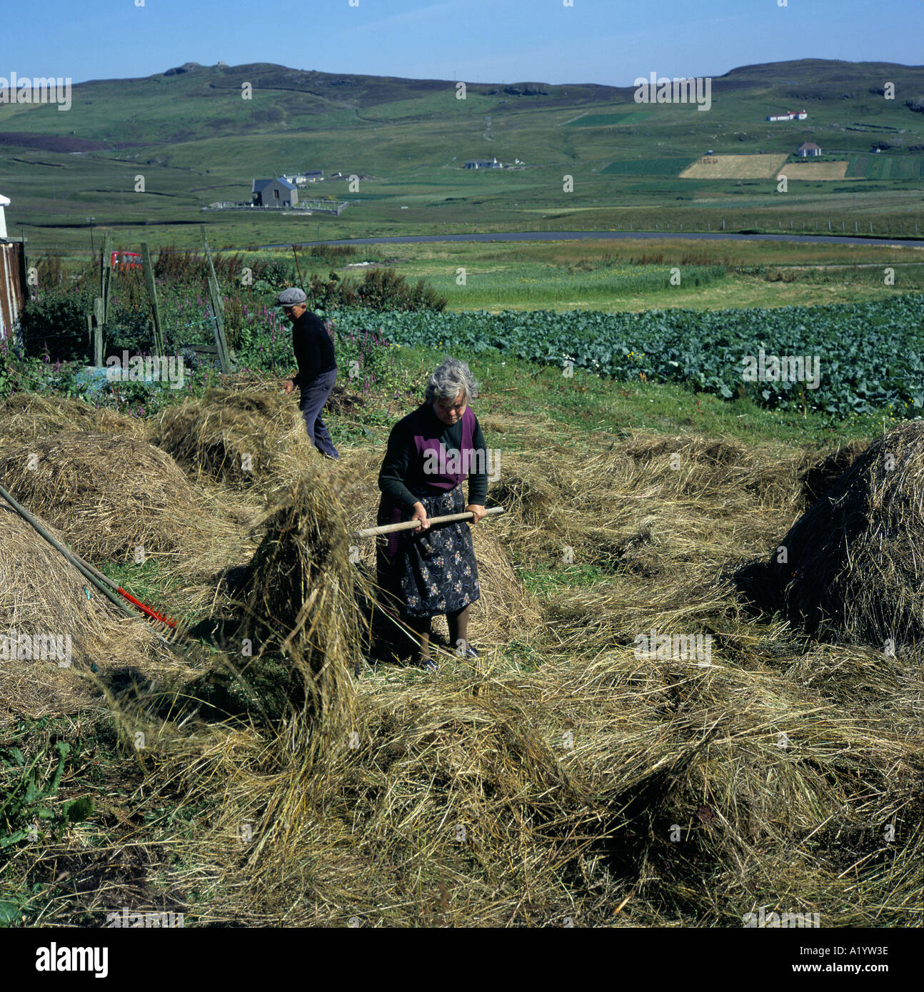 Old farming couple hi-res stock photography and images - Alamy