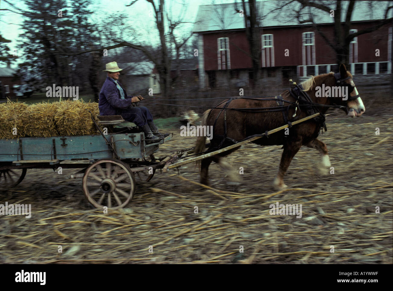 Horse Drawn Hay Wagon
