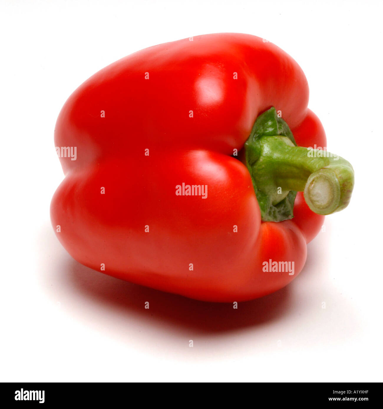 Single pepper hi-res stock photography and images - Alamy