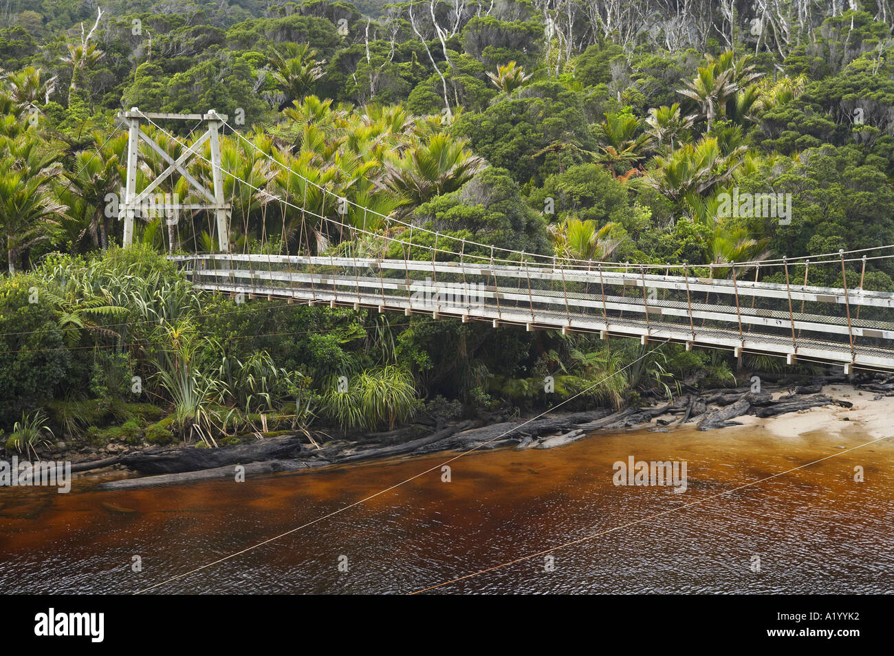 Bridge over Kohaihai River Heaphy Track near Karamea Kahurangi National ...