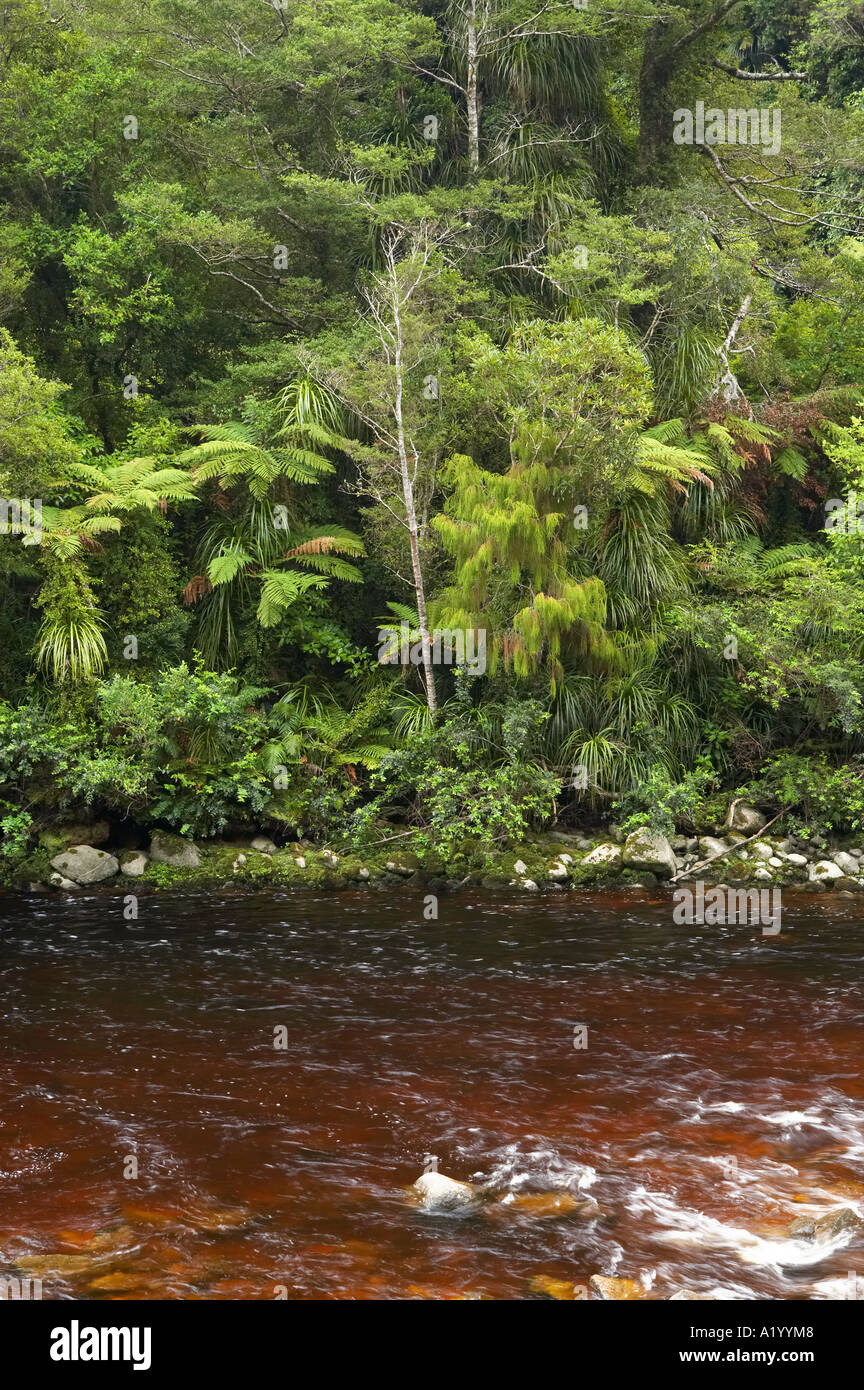 Ponga natural park hi-res stock photography and images - Alamy