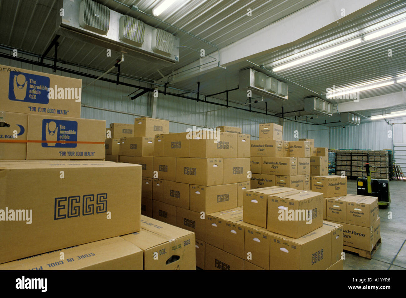 egg production egg processing warehouse factory color colorful ...