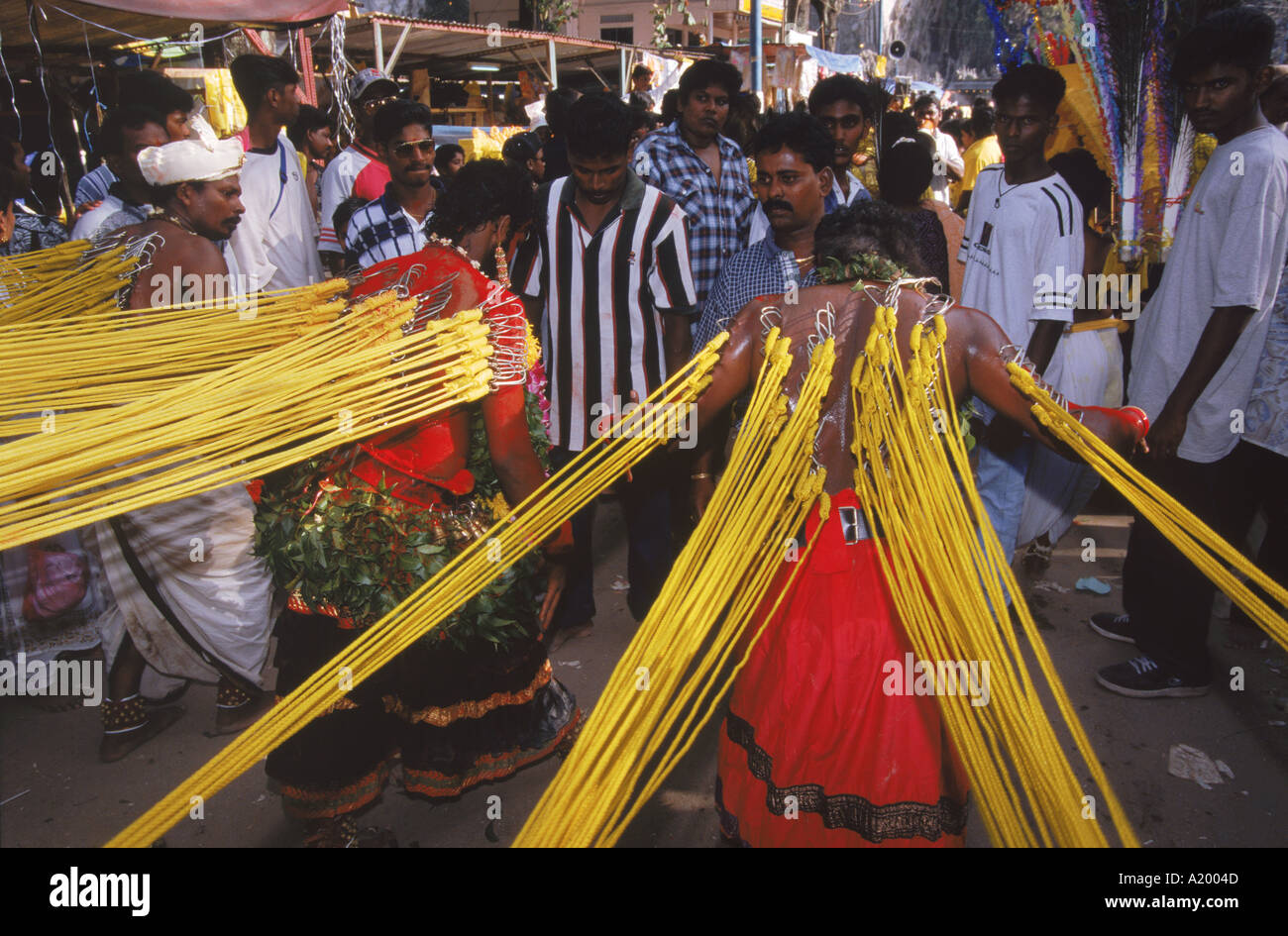 Men with hooks through the skin on their backs during the annual Hindu ...