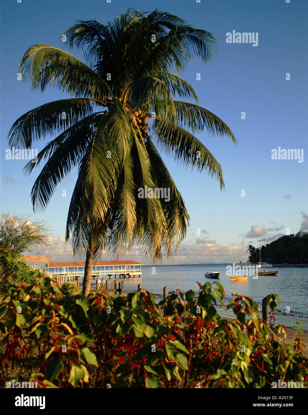Jetty and palm tree Villa Bay Young Island St Vincent Caribbean G R ...