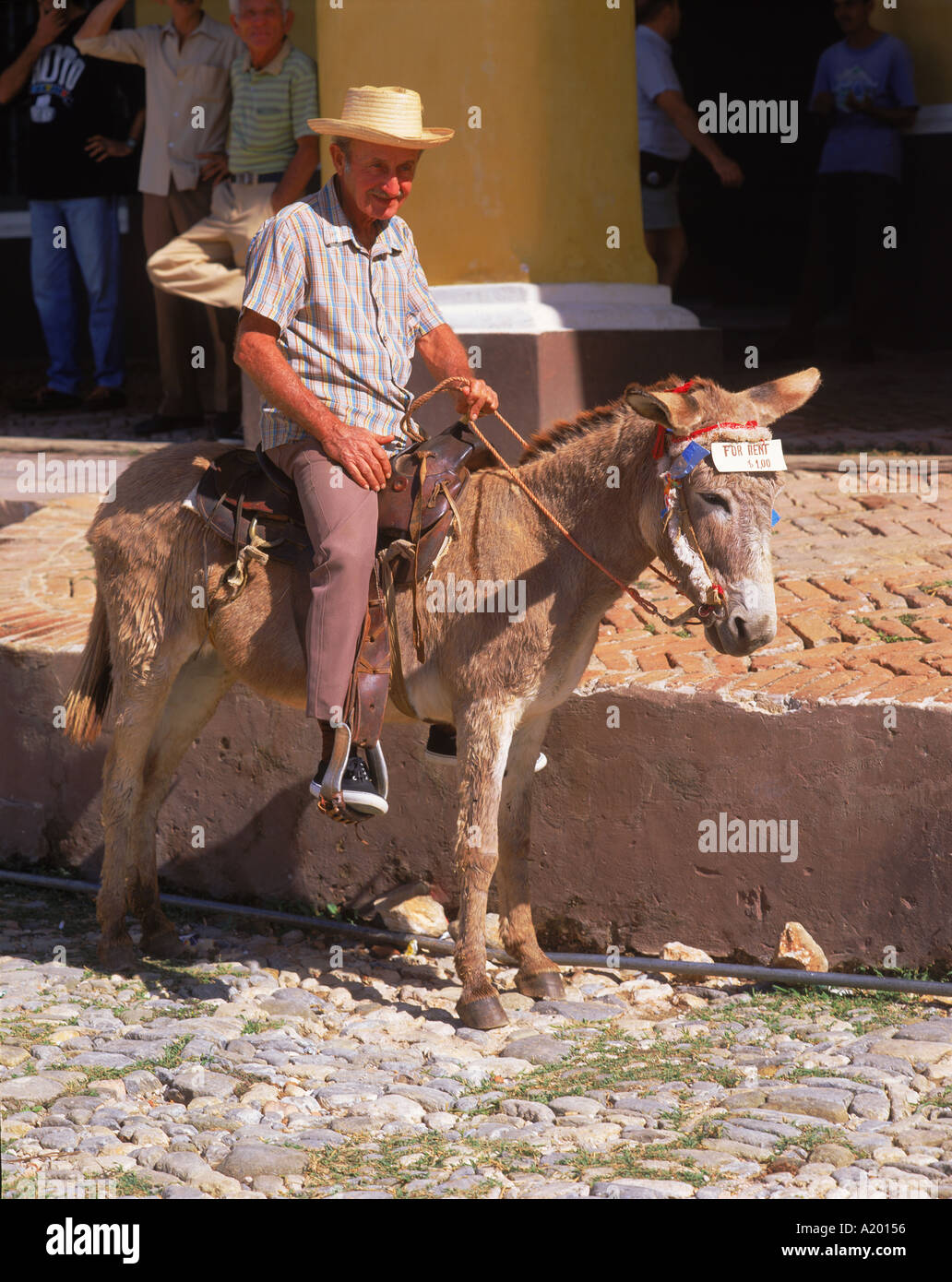 Man donkey in hi-res stock photography and images - Alamy