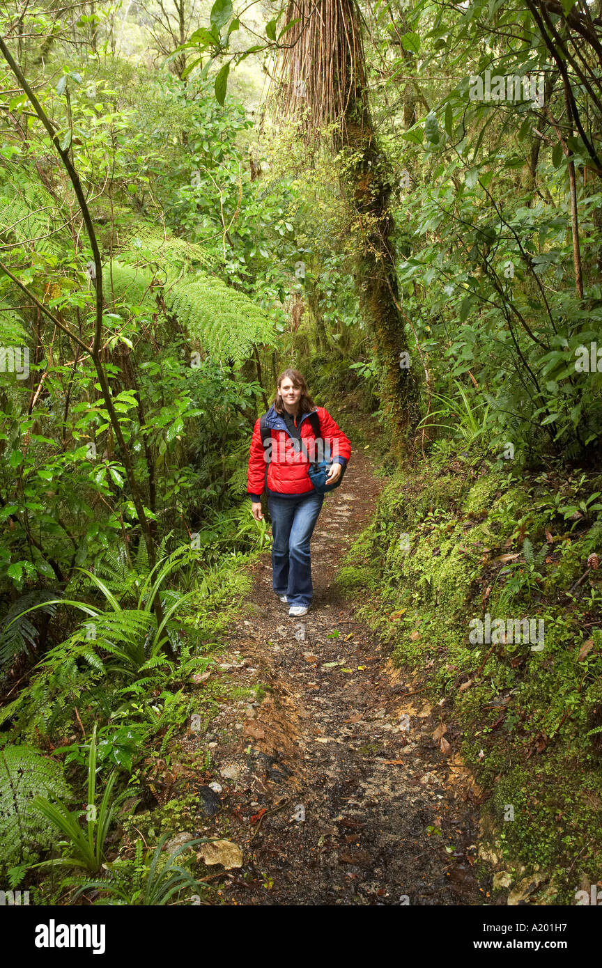 Track to Oparara Arch Oparara Basin near Karamea Kahurangi National ...