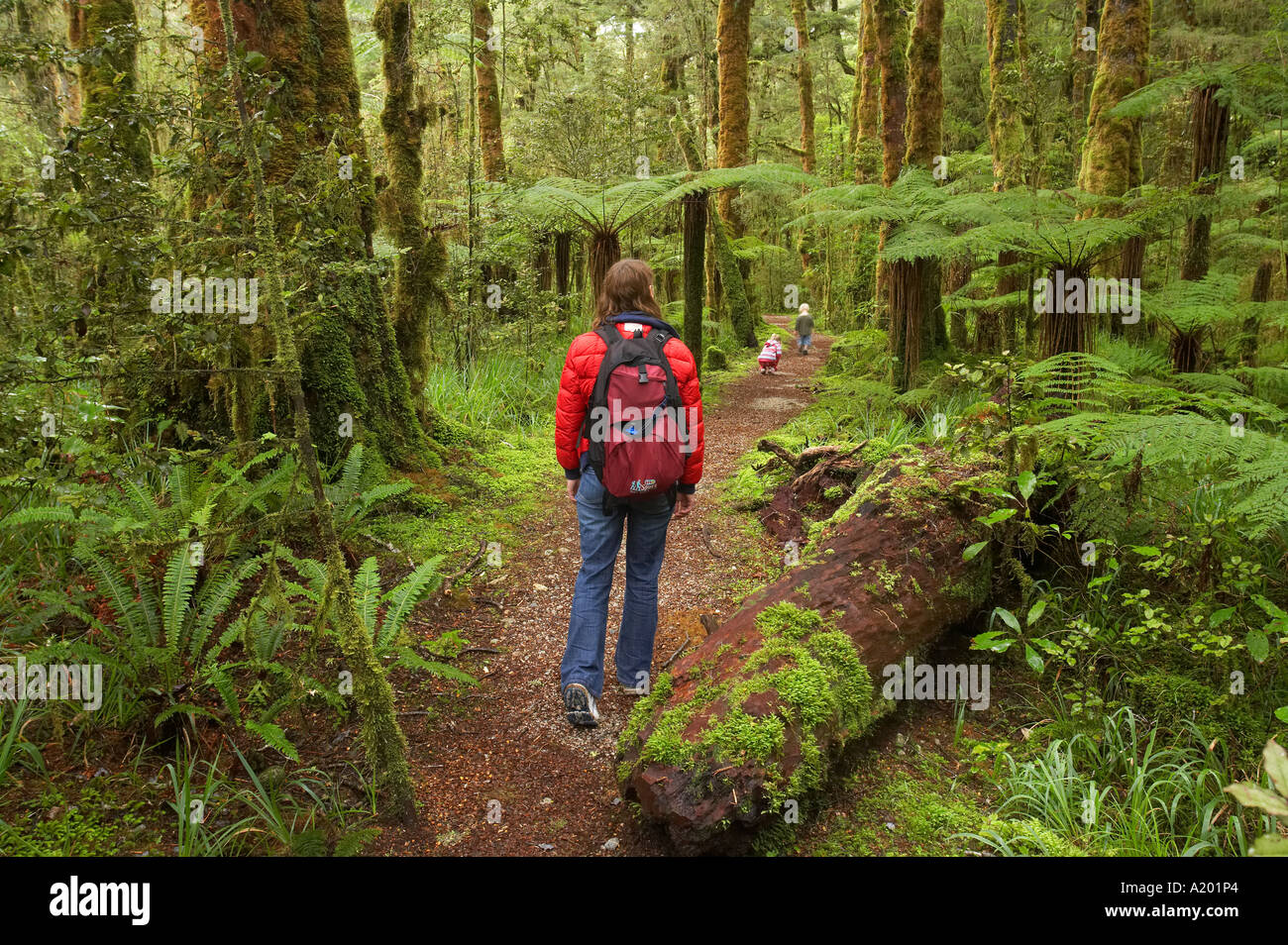 Track to Moira Gate Arch Oparara Basin near Karamea Kahurangi National ...