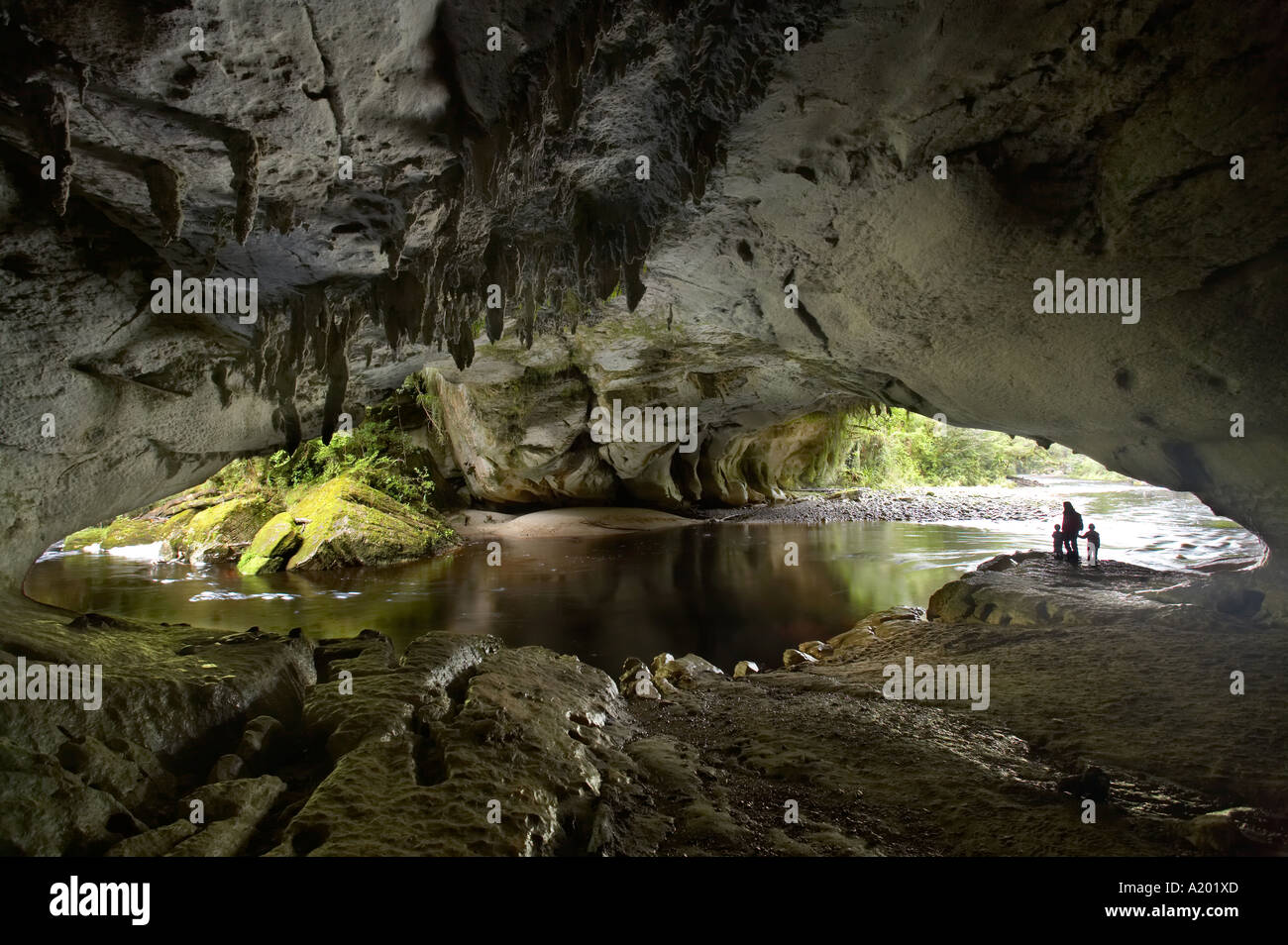 Moira Gate Arch Oparara Basin near Karamea Kahurangi National Park West ...