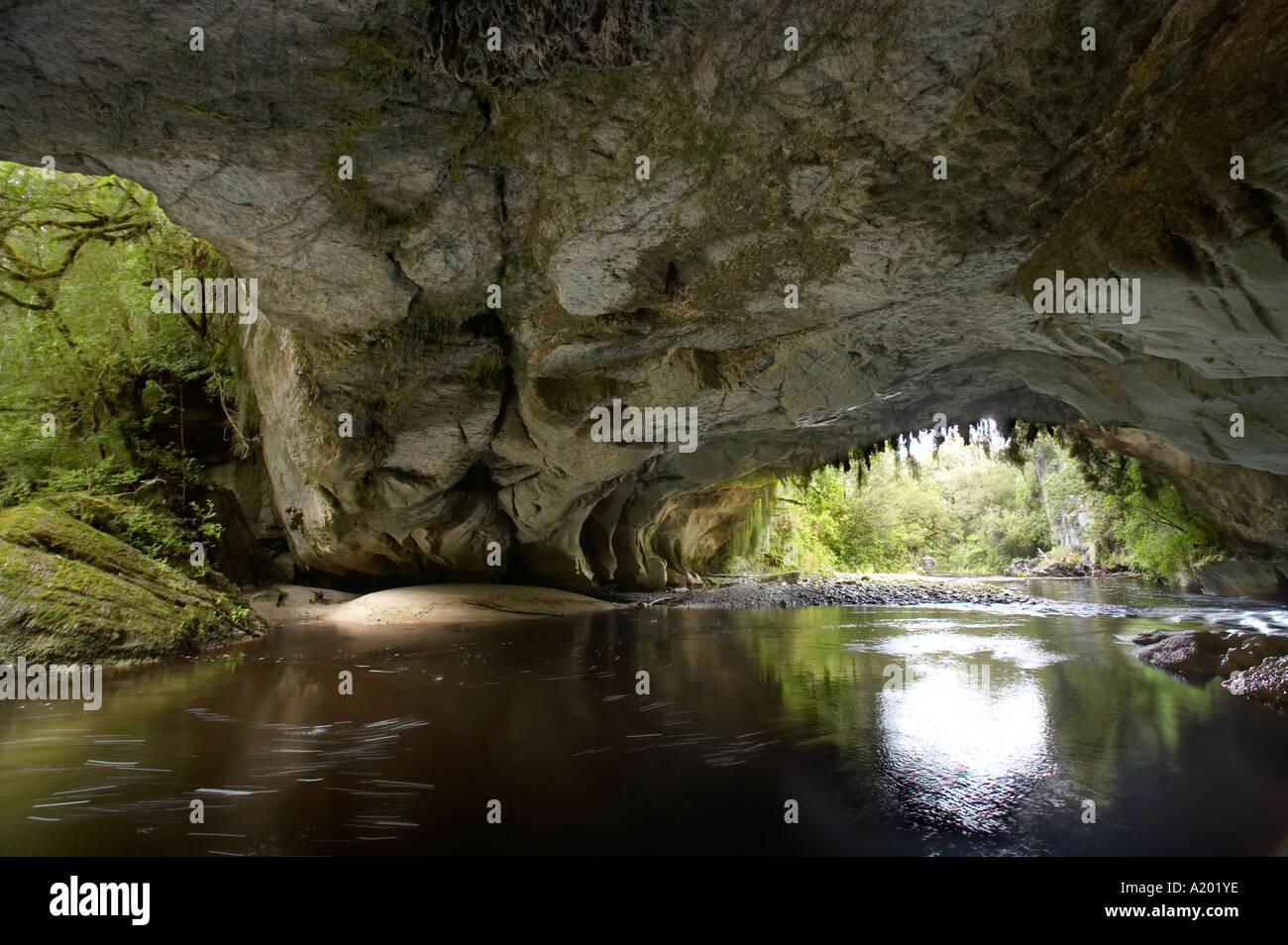Moira Gate Arch Oparara Basin near Karamea Kahurangi National Park West ...