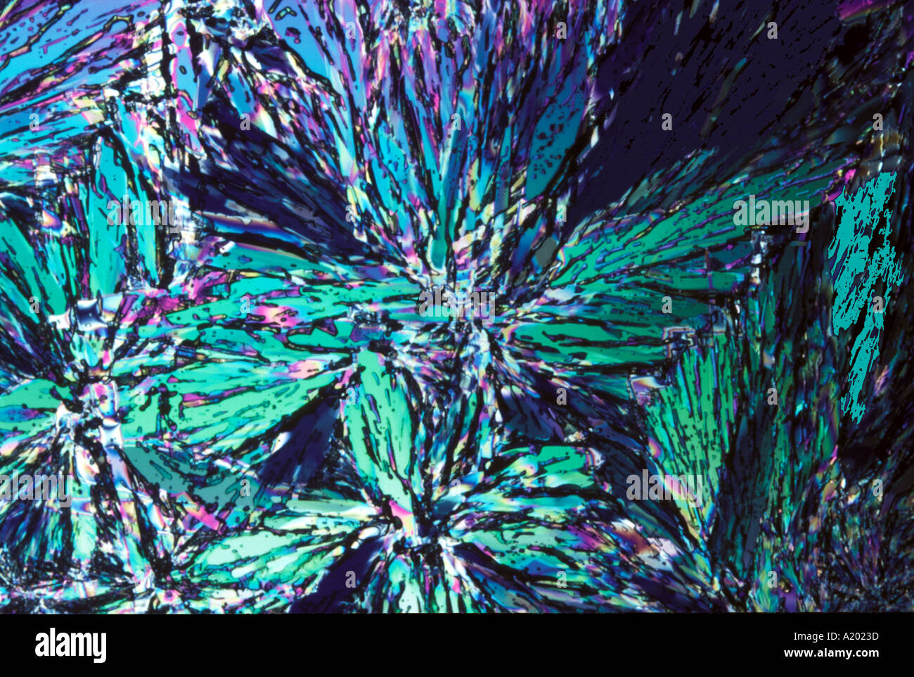 menthol crystals in polarised light Stock Photo - Alamy