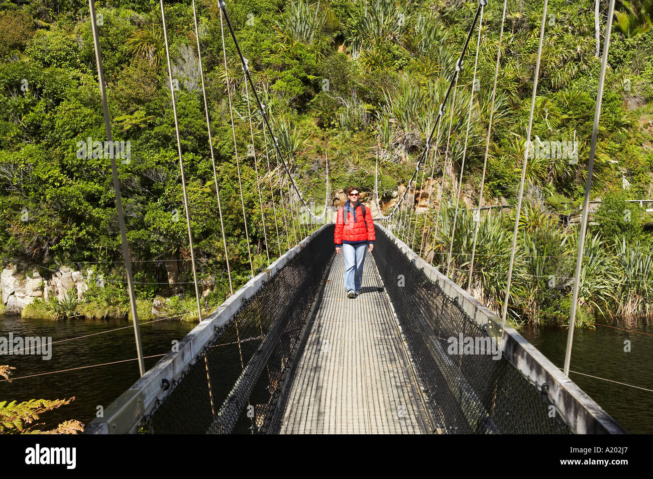 Bridge over Kohaihai River Heaphy Track near Karamea Kahurangi National ...